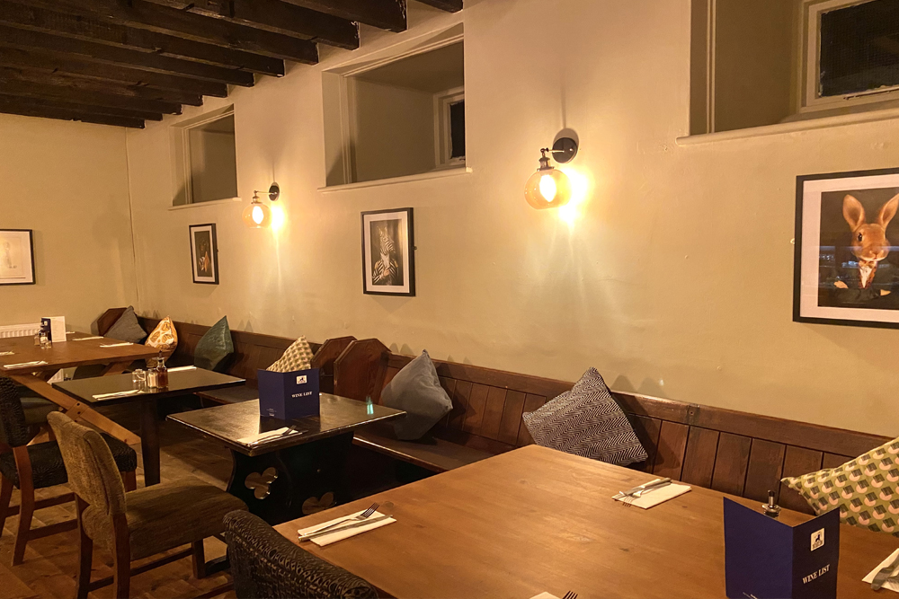 Gallery - The Blue Lion